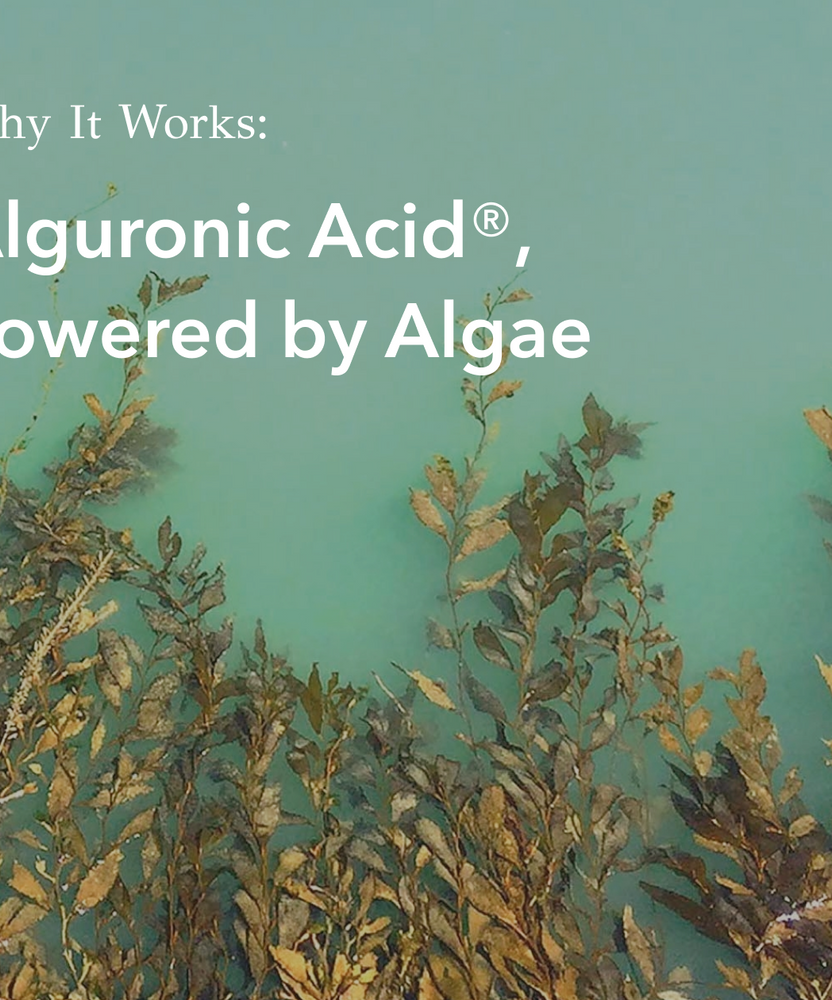 Our Ingredients - Vegan & Sustainable Skincare